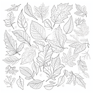 Autumn leaves Coloring Pages – Coloring corner