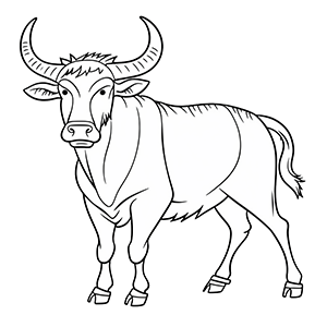 Bull Coloring Pages - Coloring corner