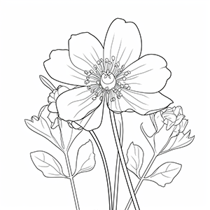 Buttercup coloring pages – Coloring corner