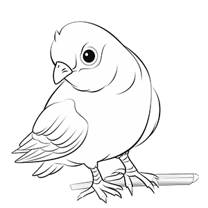 Pigeon Coloring Pages – Coloring corner