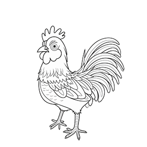 Rooster Coloring Pages – Coloring corner