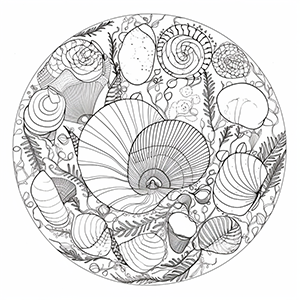 Seashell Coloring Pages – Coloring corner