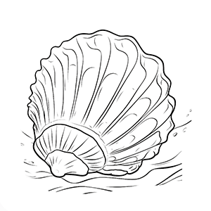 Seashell Coloring Pages – Coloring corner