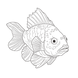 Free Tropical fish coloring pages – Coloring corner