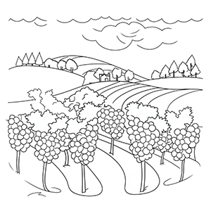 Vineyard Coloring Pages – Coloring corner
