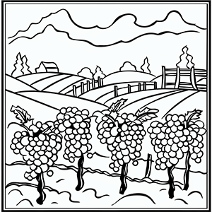 Vineyard Coloring Pages – Coloring corner