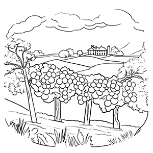 Free Vineyard Coloring Pages – Coloring corner