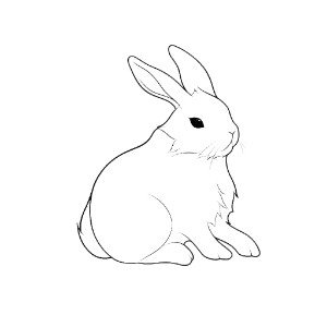 Arctic Hare coloring pages – Coloring corner