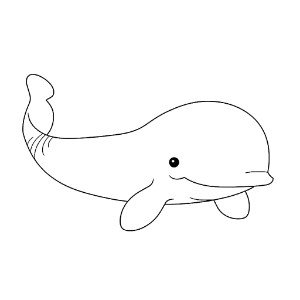 Beluga Whale coloring pages – Coloring corner