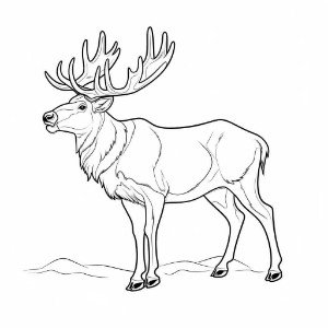 Caribou coloring pages – Coloring corner
