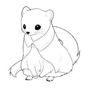Ermine coloring pages – Coloring corner